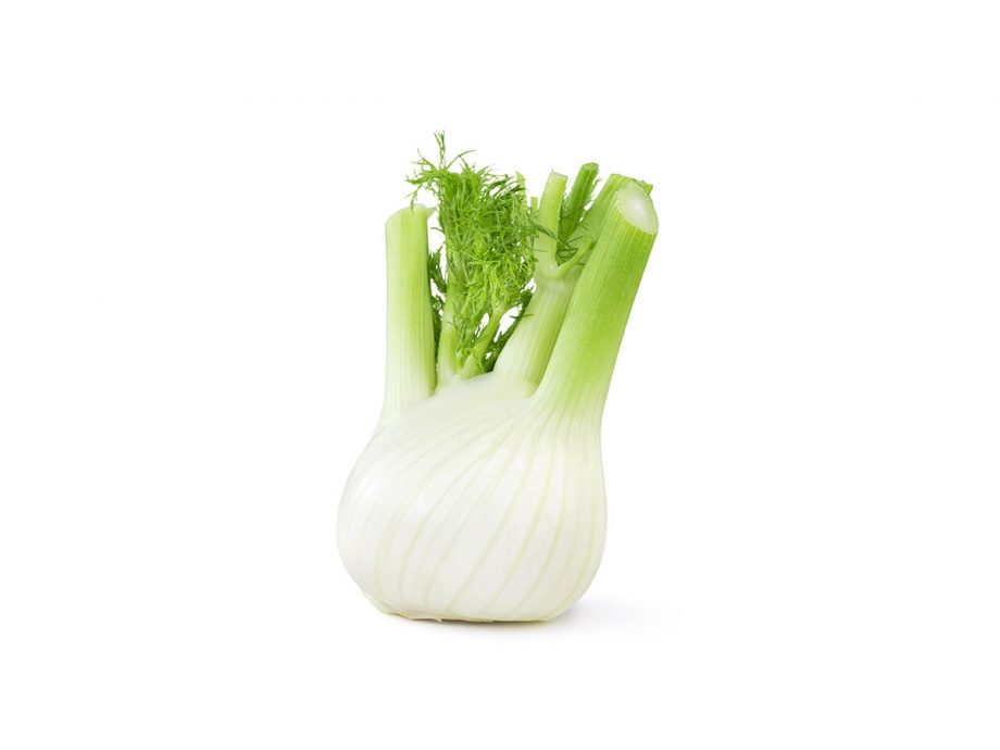 Fenchel | Erntefrisch vom Pfalzmarkt
