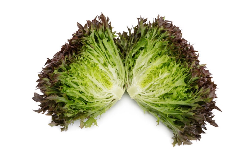 Salanova® | Erntefrisch vom Pfalzmarkt